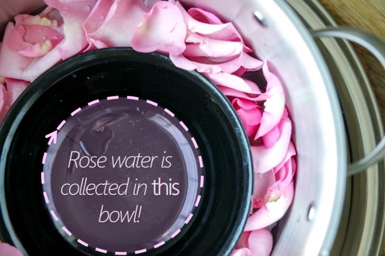 The Morning After: DIY Rose Water - Inspector Gorgeous